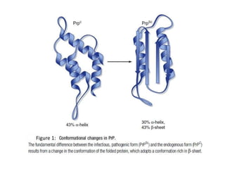 Diseases caused by prions | PPTX