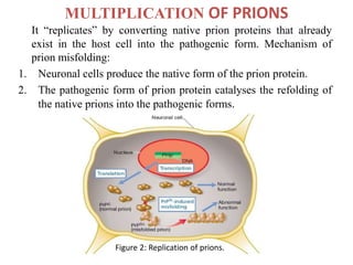 Diseases caused by prions | PPTX