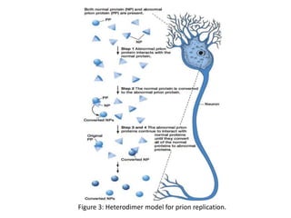 Diseases caused by prions | PPTX