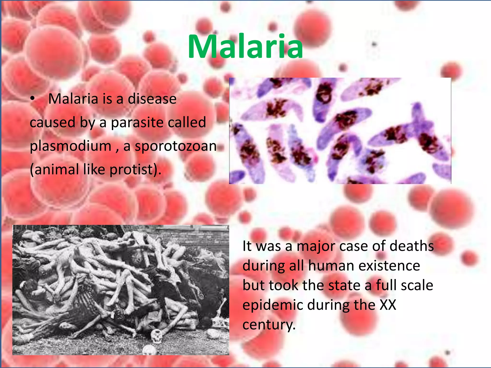 Diseases caused by protista | PPT