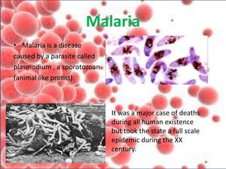Diseases caused by protista | PPTX | Infectious Diseases | Diseases and ...