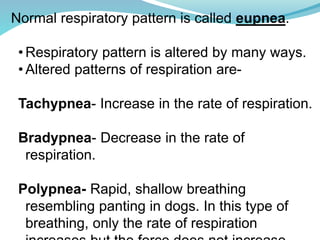 Diseases & Disorders of Respiration .pptx