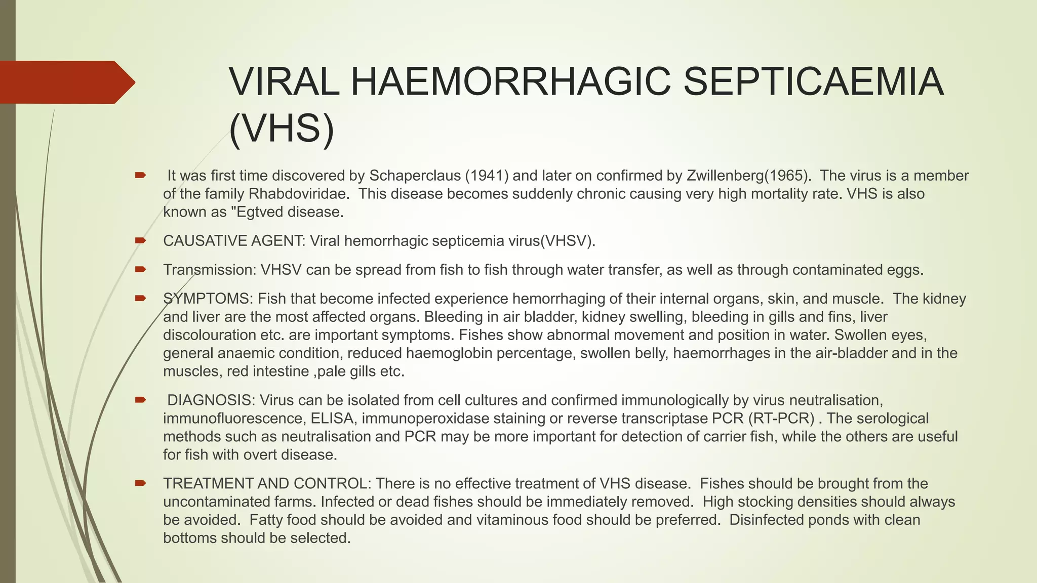 Viral diseases: finfishes. | PPTX