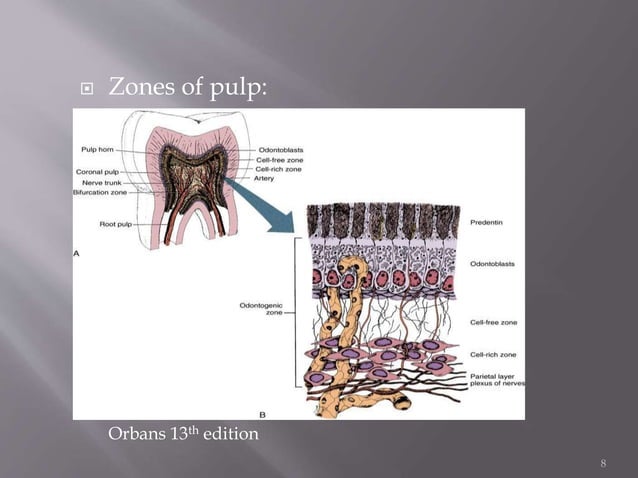 Diseases for pulp and periapical tissues | PPTX