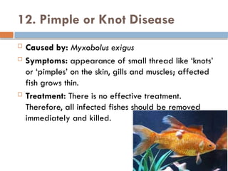 Fish Diseases and remedial measures.pptx