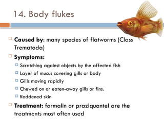 Fish Diseases and remedial measures.pptx