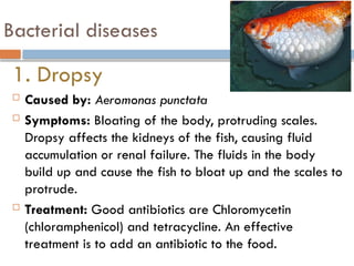 Fish Diseases and remedial measures.pptx
