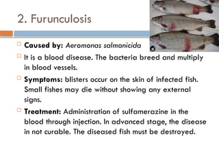 Fish Diseases and remedial measures.pptx
