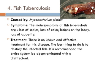 Fish Diseases and remedial measures.pptx