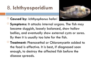 Fish Diseases and remedial measures.pptx