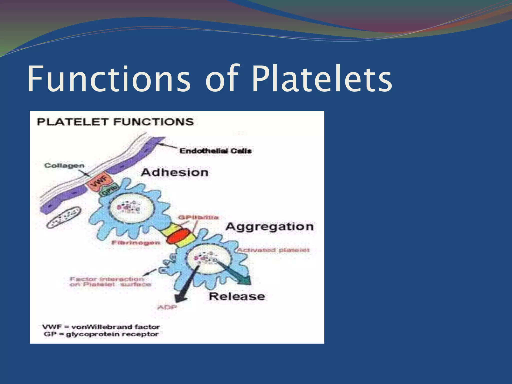 Diseases involving blood platelets | PPTX