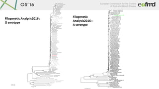 OS16 - 2.P1.b FMD Disease Risk Assessment and Progress on Risk-Based ...