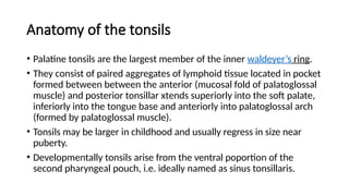 DISEASES OF ADENOIDS,TONSILS AND PHARYNX.pptx