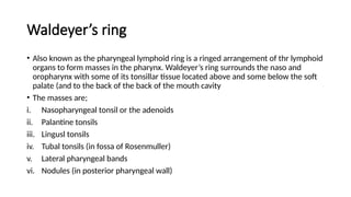 DISEASES OF ADENOIDS,TONSILS AND PHARYNX.pptx