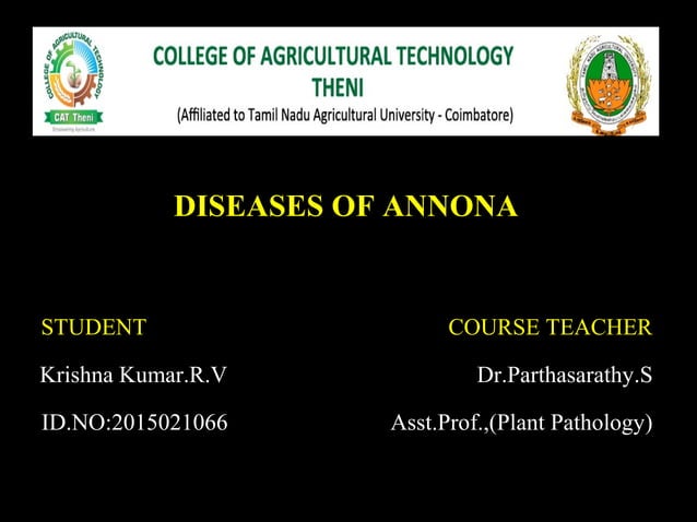 Diseases of annona | PPT | Skin and Dermatology | Diseases and Conditions
