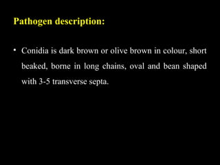 Diseases of annona | PPT