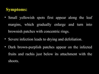 Diseases of annona | PPT