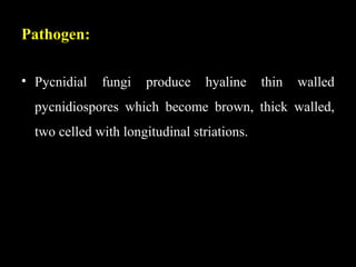 Diseases of annona | PPT