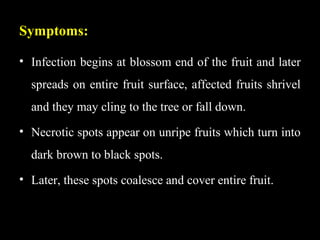 Diseases of annona | PPT