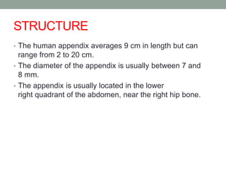 Diseases of appendix | PPTX