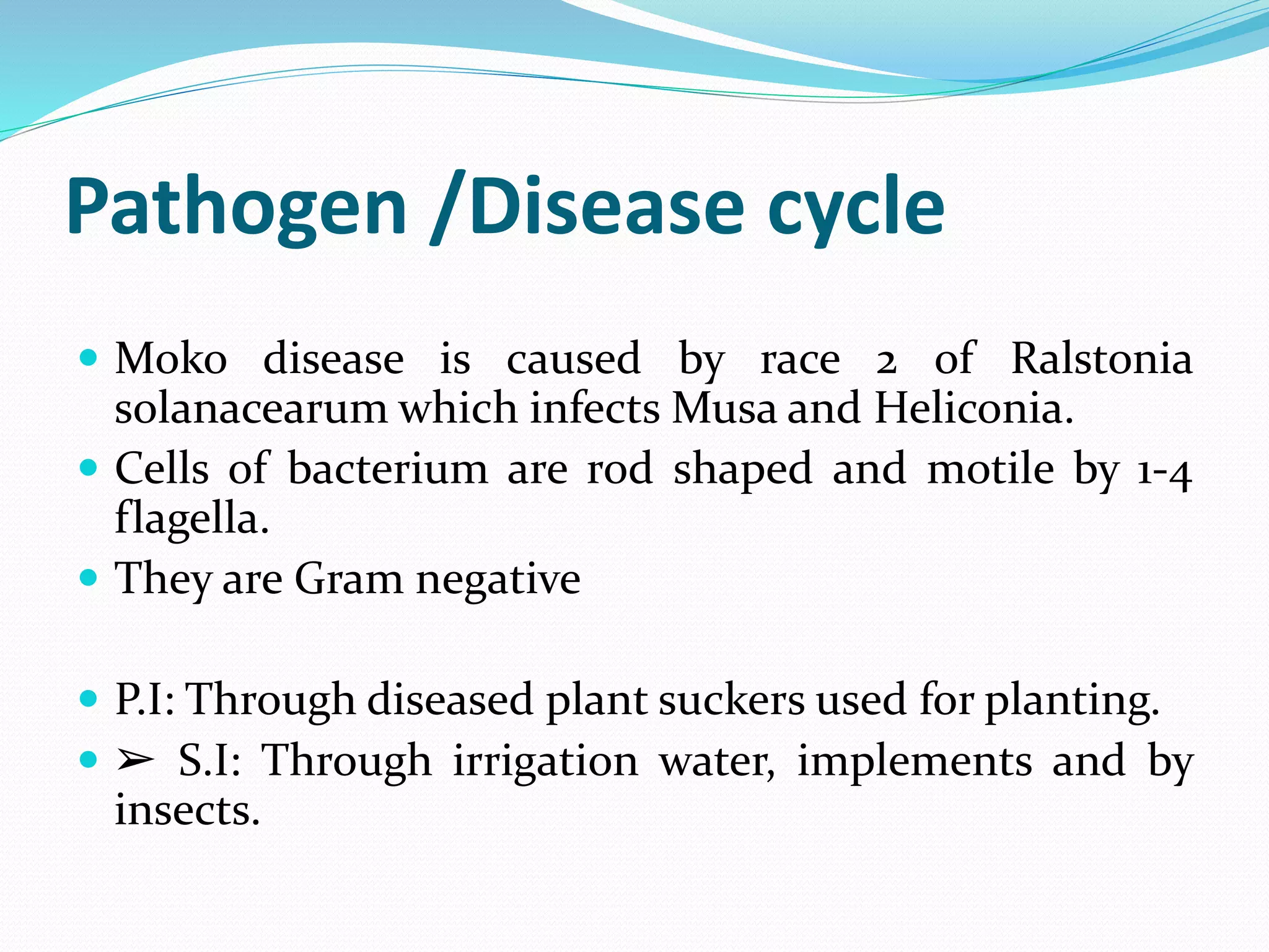Diseases of banana | PPTX