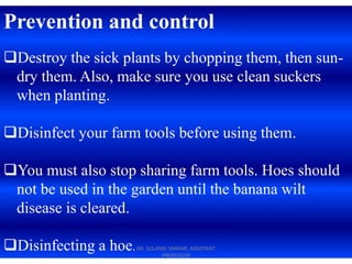 Common Banana Diseases: Identification and Management | PDF