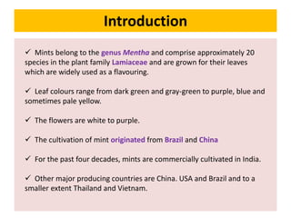 Diseases of basil and mint | PPTX