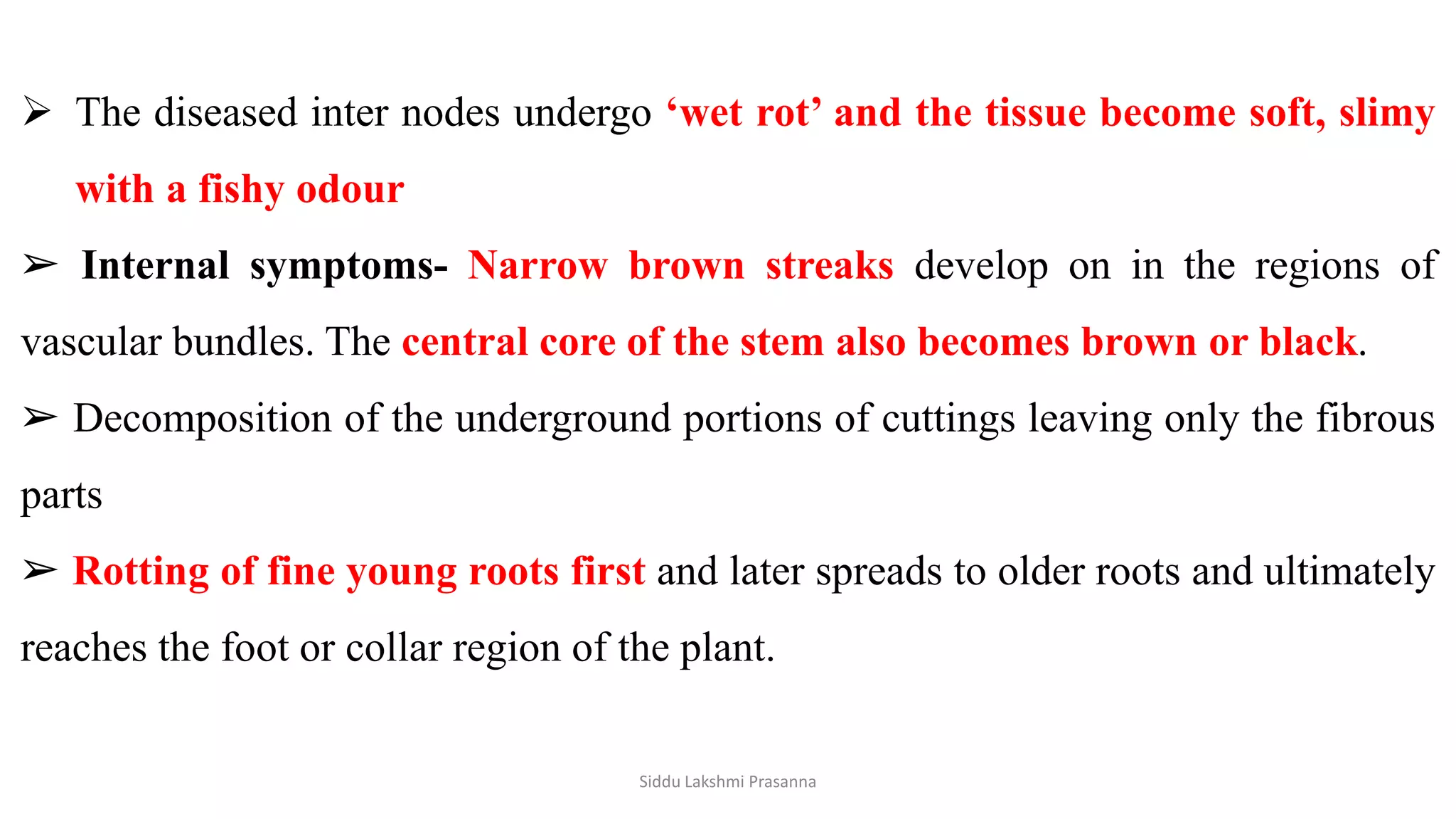 Diseases of betelvine.pdf