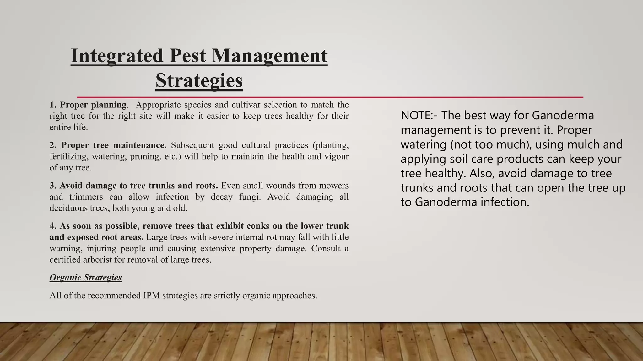 Diseases of Bombax ceiba by sagar chaudhary.pptx