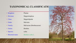 Diseases of Bombax ceiba by sagar chaudhary.pptx