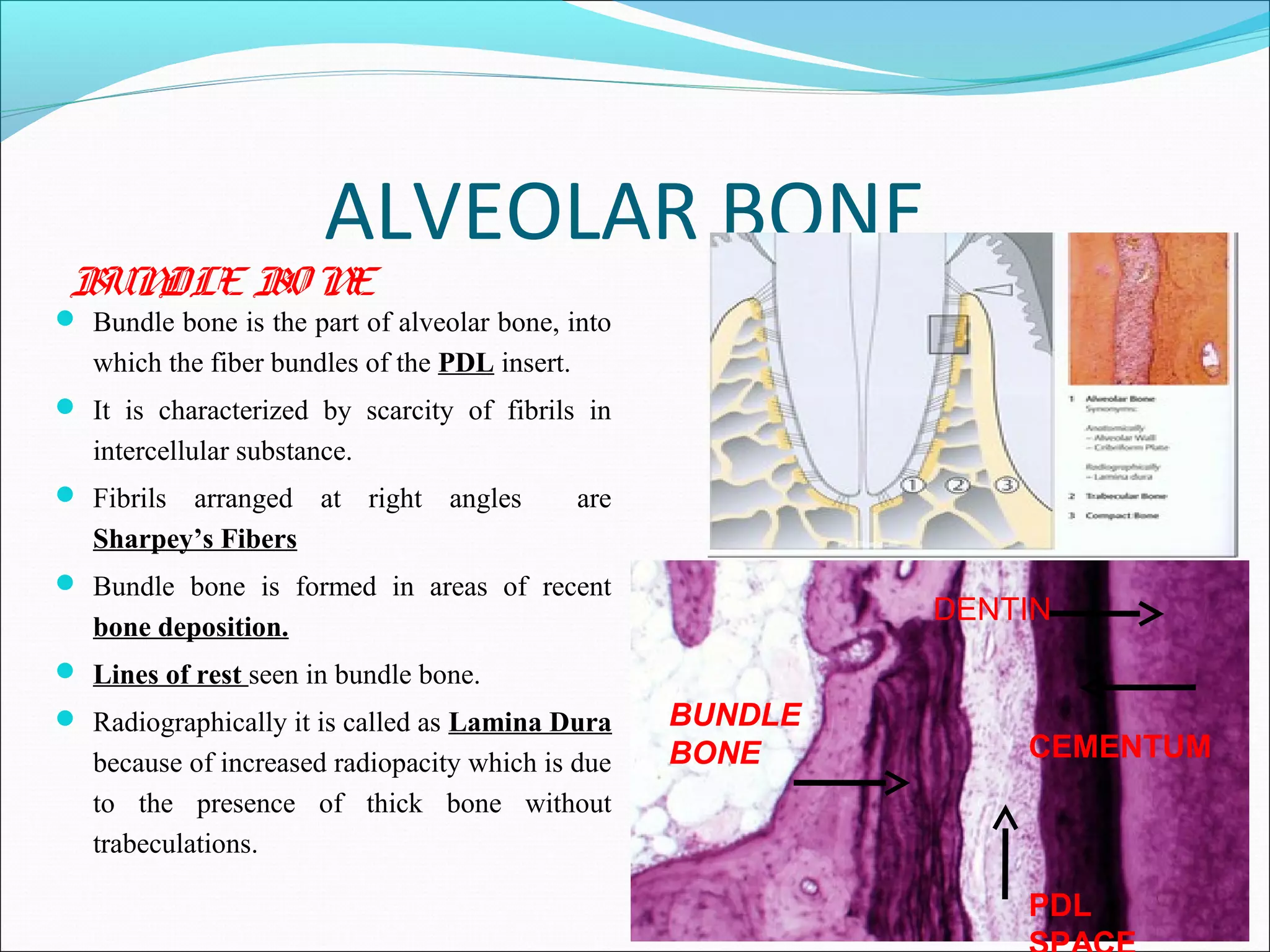 Diseases of bone and its oral aspects | PPT
