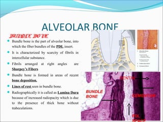Diseases of bone and its oral aspects | PPT
