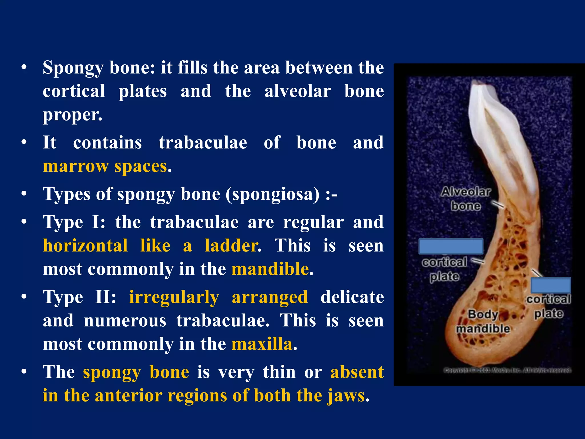 Diseases of bones and joint | PPTX