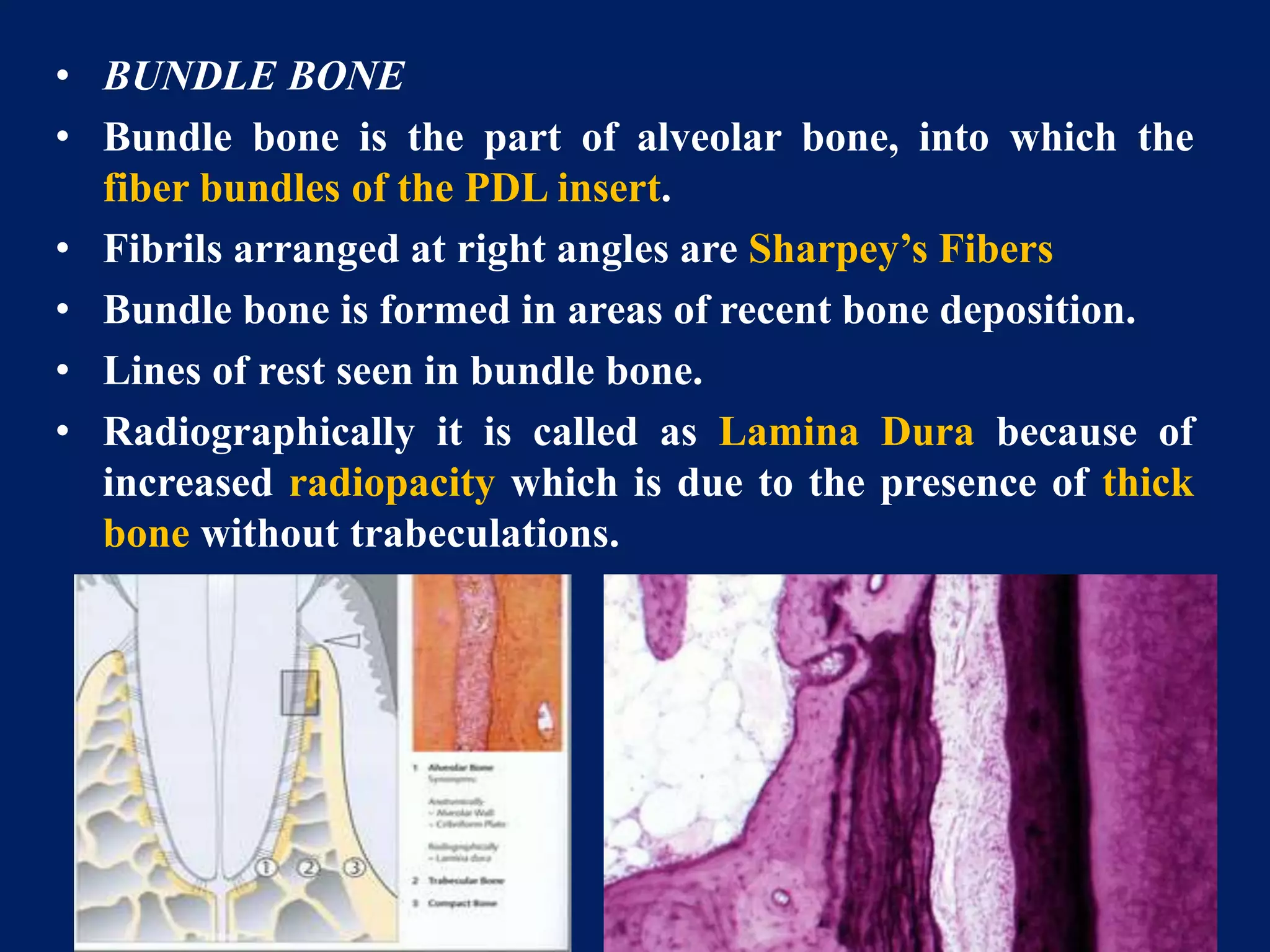Diseases of bones and joint | PPTX