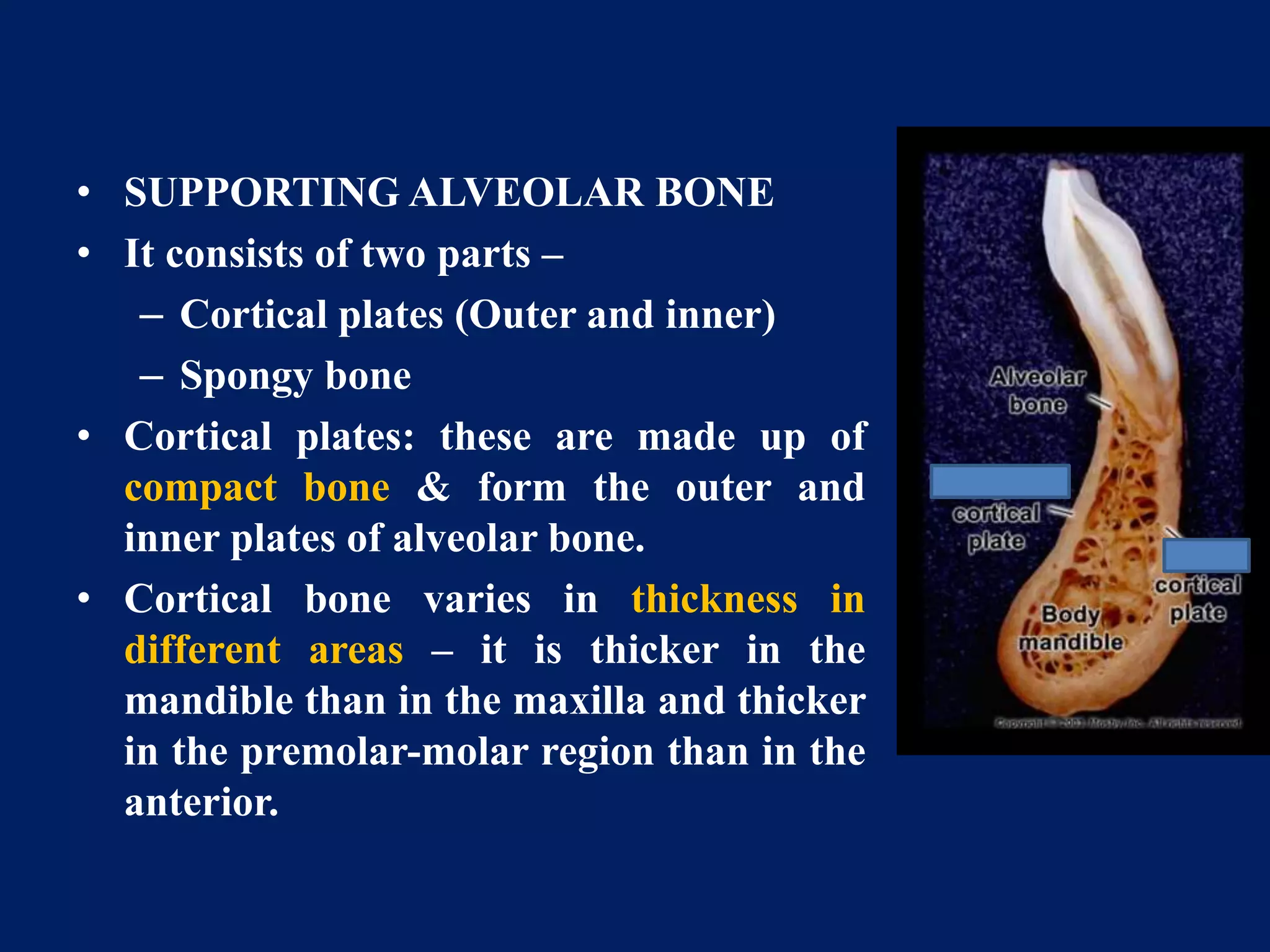 Diseases of bones and joint | PPTX