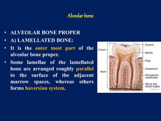 Diseases of bones and joint | PPTX