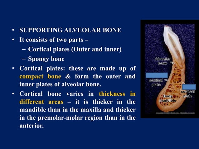 Diseases of bones and joint | PPTX | Bone and Joint Conditions ...