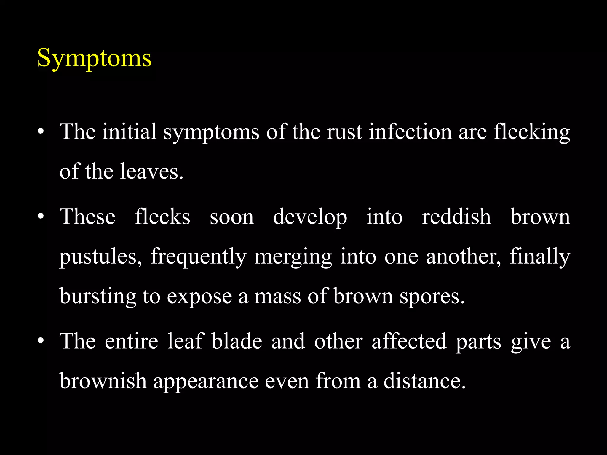 Diseases of butter bean and fava bean | PPTX | Agriculture | Industries