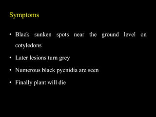 Diseases of butter bean and fava bean | PPTX | Agriculture | Industries