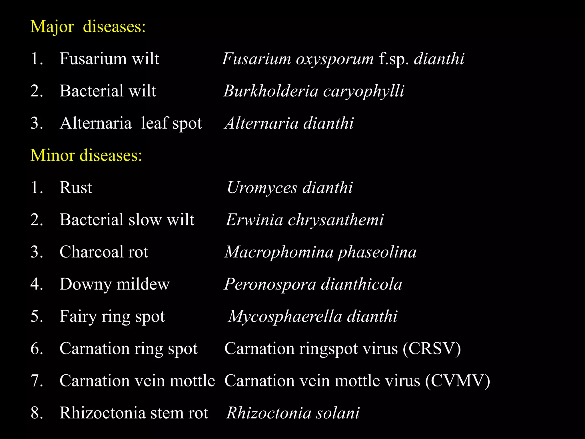 Diseases of carnation and their management | PPTX