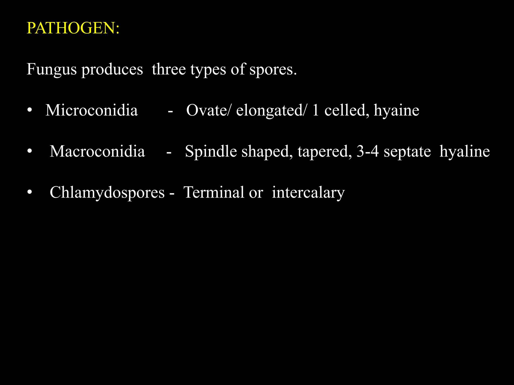 Diseases of carnation and their management | PPTX