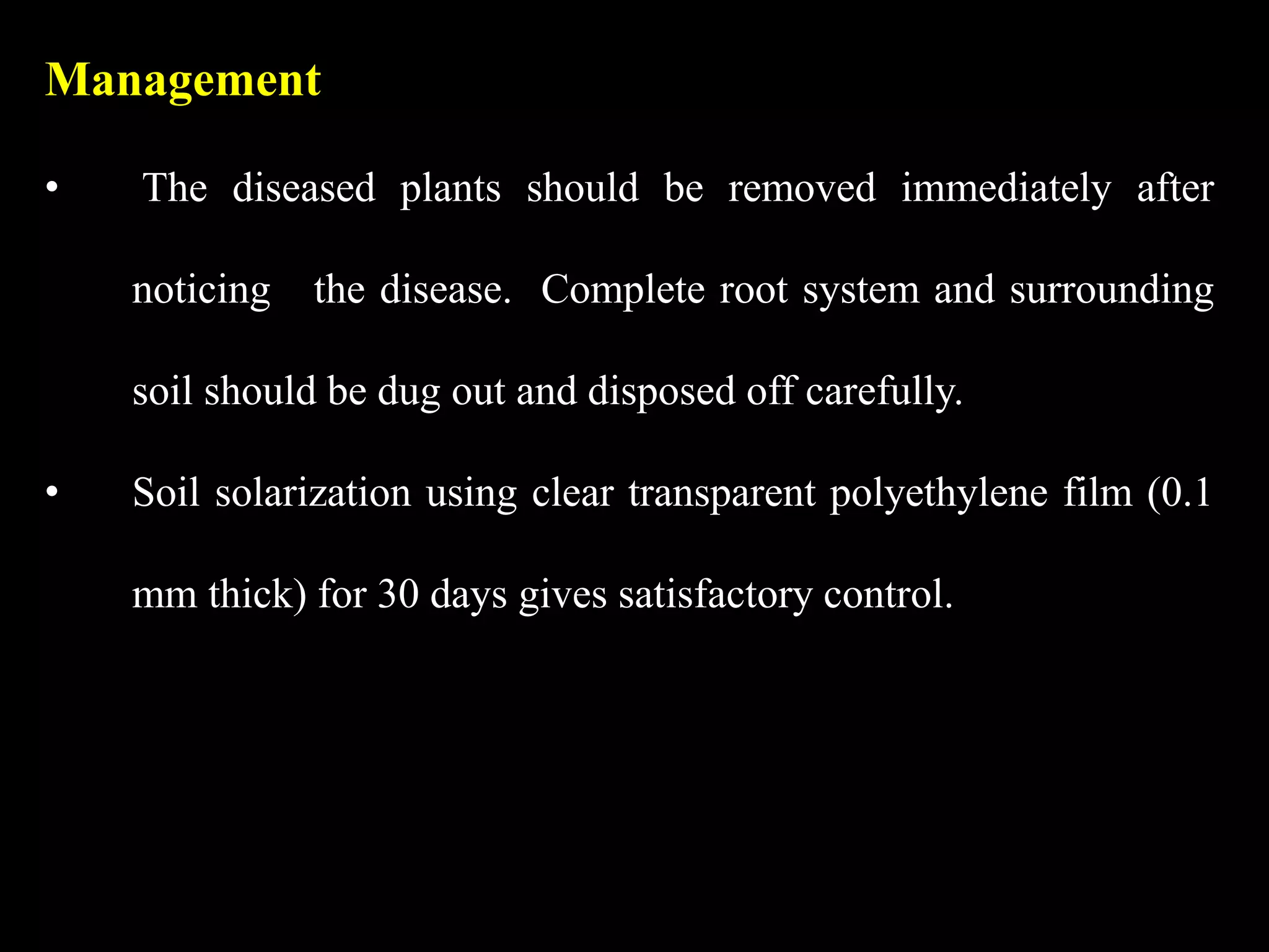 Diseases of carnation and their management | PPTX