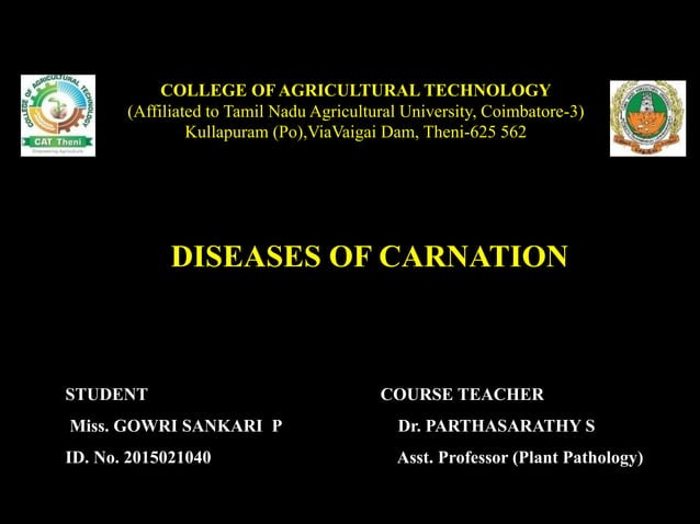 Diseases of carnation and their management | PPTX | Gardening | Home ...