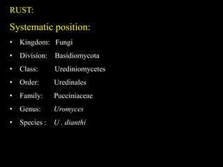 Diseases of carnation and their management | PPTX