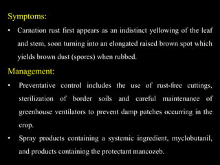 Diseases of carnation and their management | PPTX