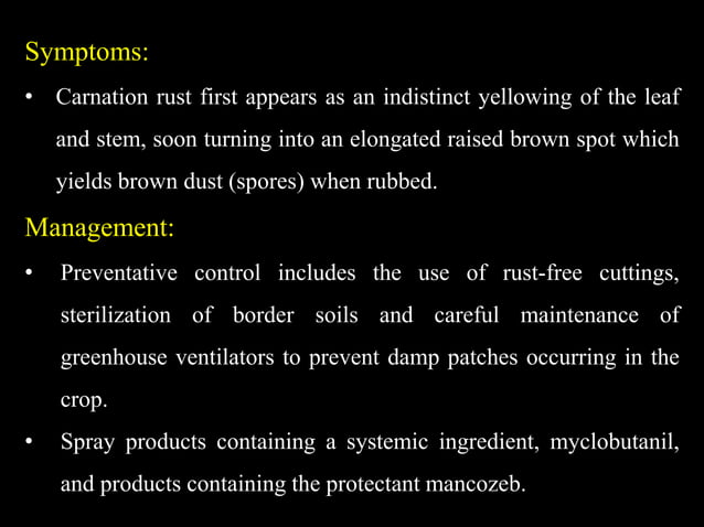 Diseases of carnation and their management | PPTX | Gardening | Home ...