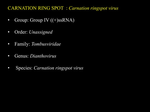 Diseases of carnation and their management | PPTX | Gardening | Home ...