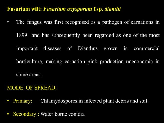 Diseases of carnation and their management | PPTX | Gardening | Home ...