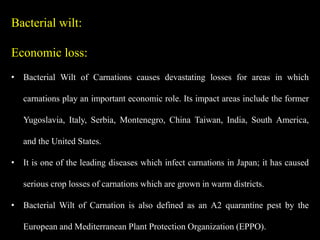 Diseases of carnation and their management | PPTX