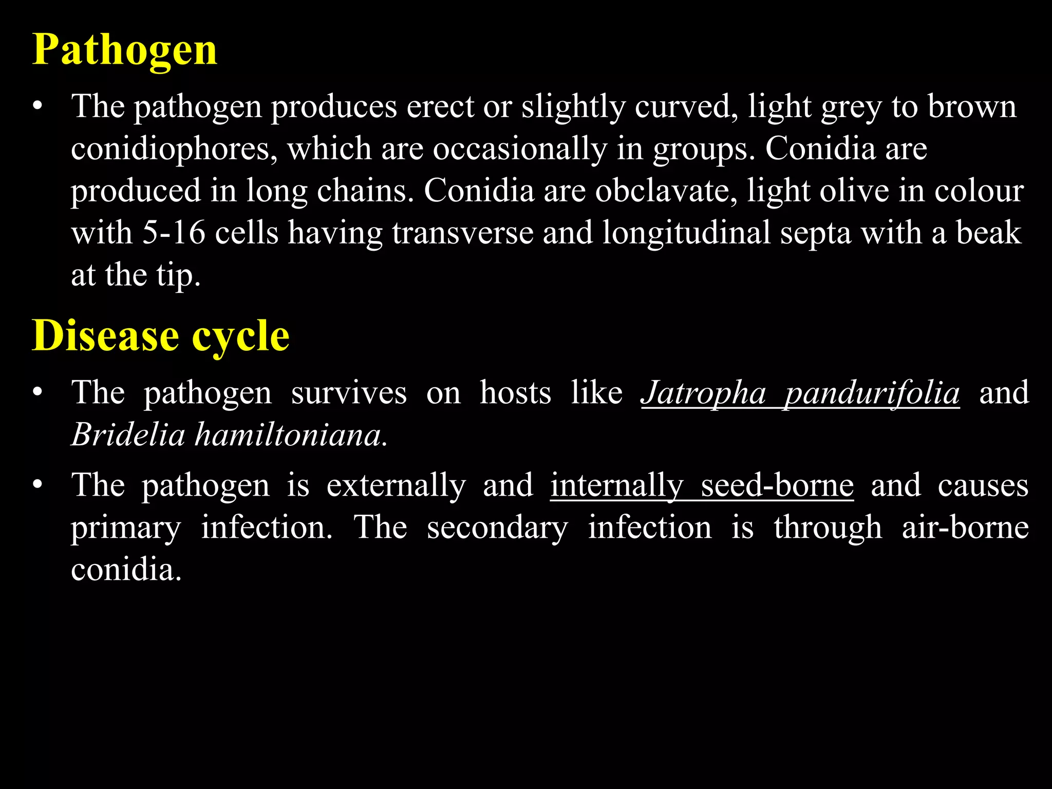 DISEASES OF CASTOR.pptx